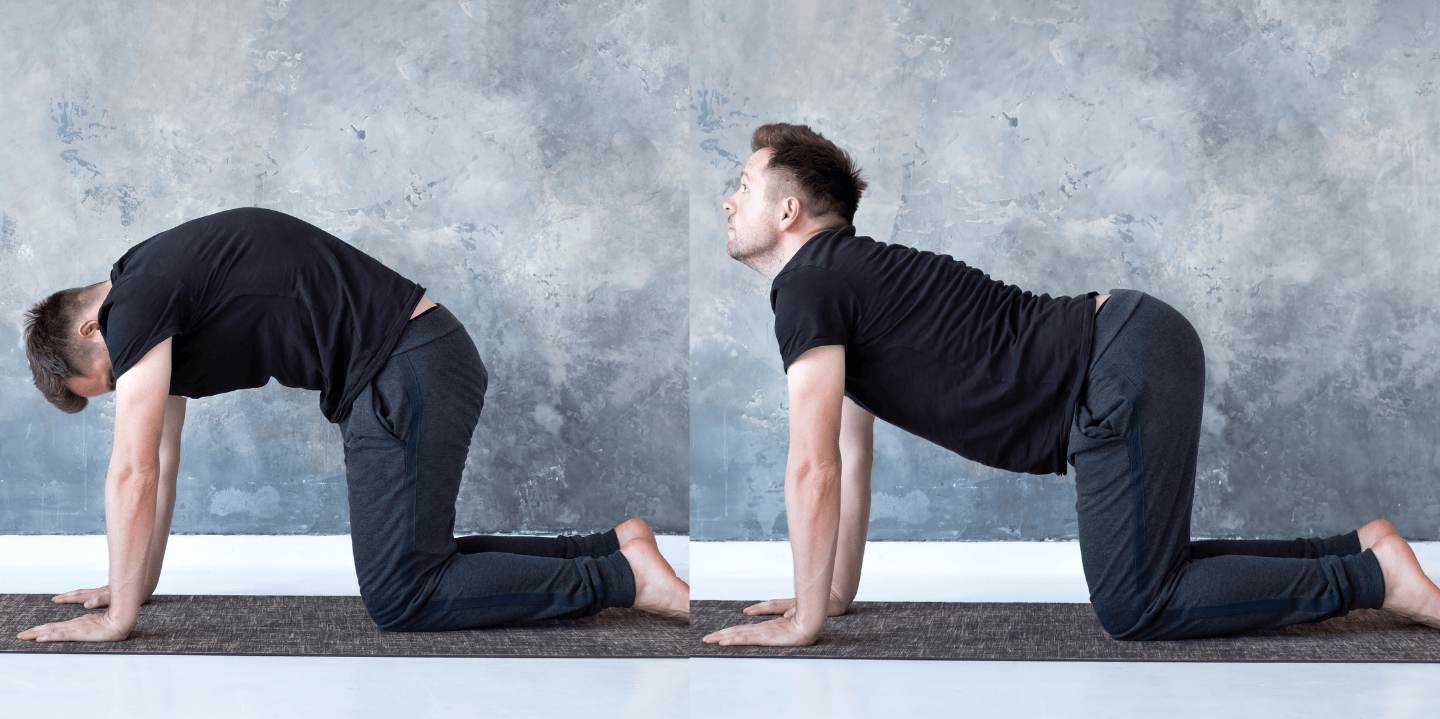 Top 10 Exercises Recommended by our Physiotherapists for Lower Back ...
